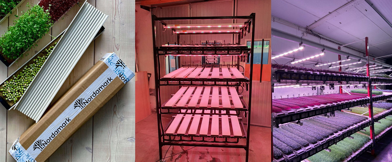 Microgreen Production - Hydroponic NFT system – Nordamark
