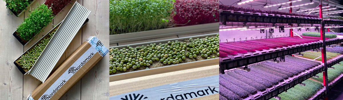 Microgreen Production - Hydroponic NFT system – Nordamark